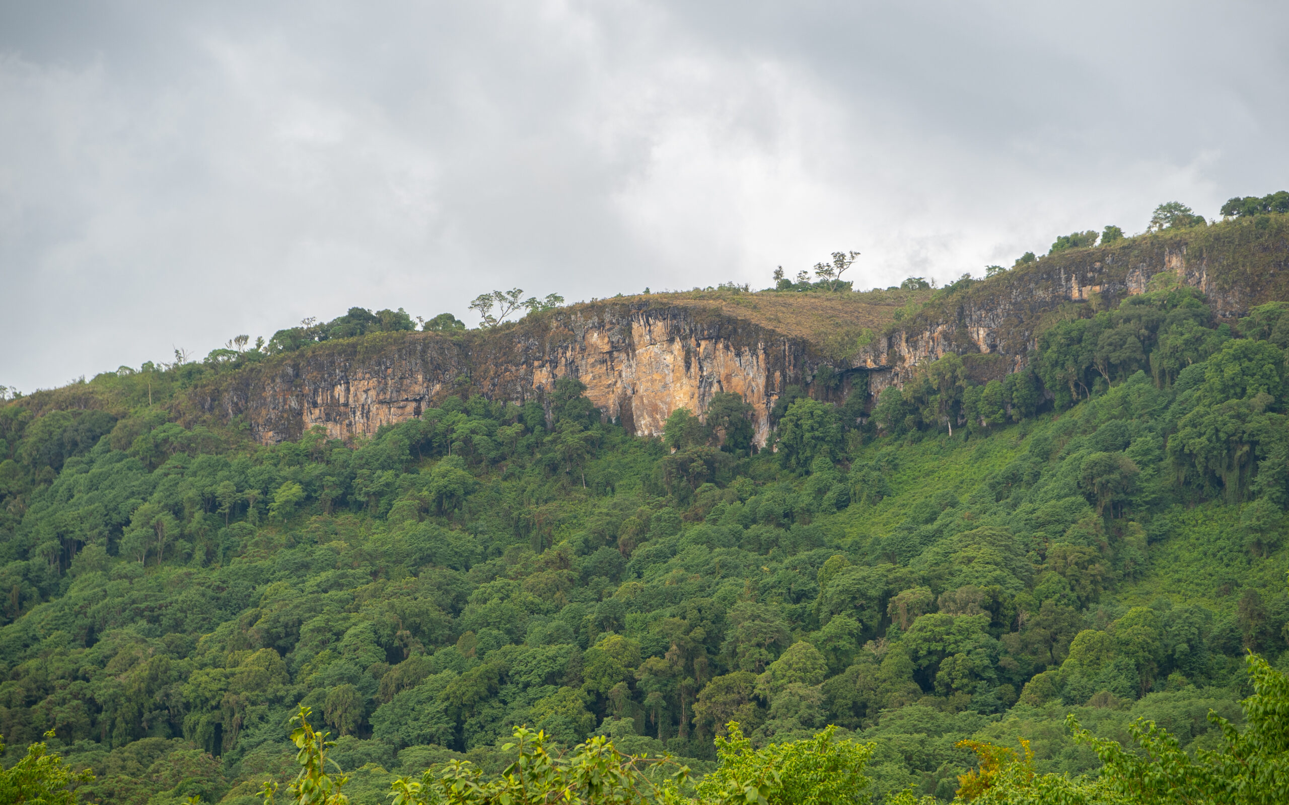 Mountain Elgon National Park